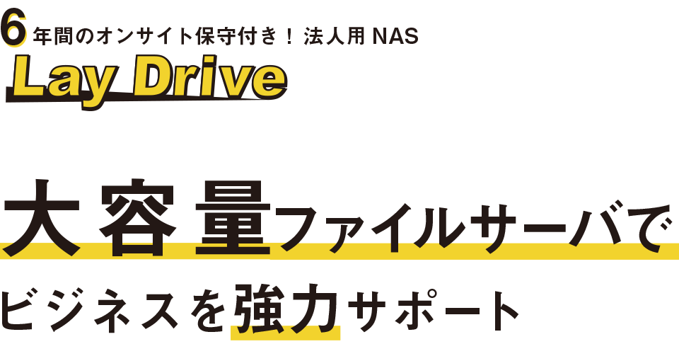 法人用NASなら6年間のオンサイト保守付き「Lay Drive」|スターティア株式会社